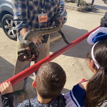 ANIMAL WORLD & SNAKE FARM - Updated February 2025 - 788 Photos & 308 ...