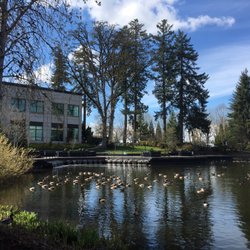 HILLSBORO PUBLIC LIBRARY - 61 Photos & 48 Reviews - 2850 NE Brookwood ...