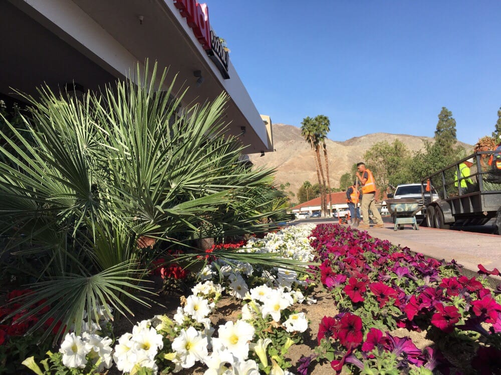 GREENVIEW LANDSCAPE MANAGEMENT - Updated June 2026 - 117 Photos & 15 ...