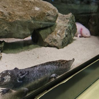BELLE ISLE AQUARIUM - Updated March 2025 - 418 Photos & 96 Reviews - 3 ...