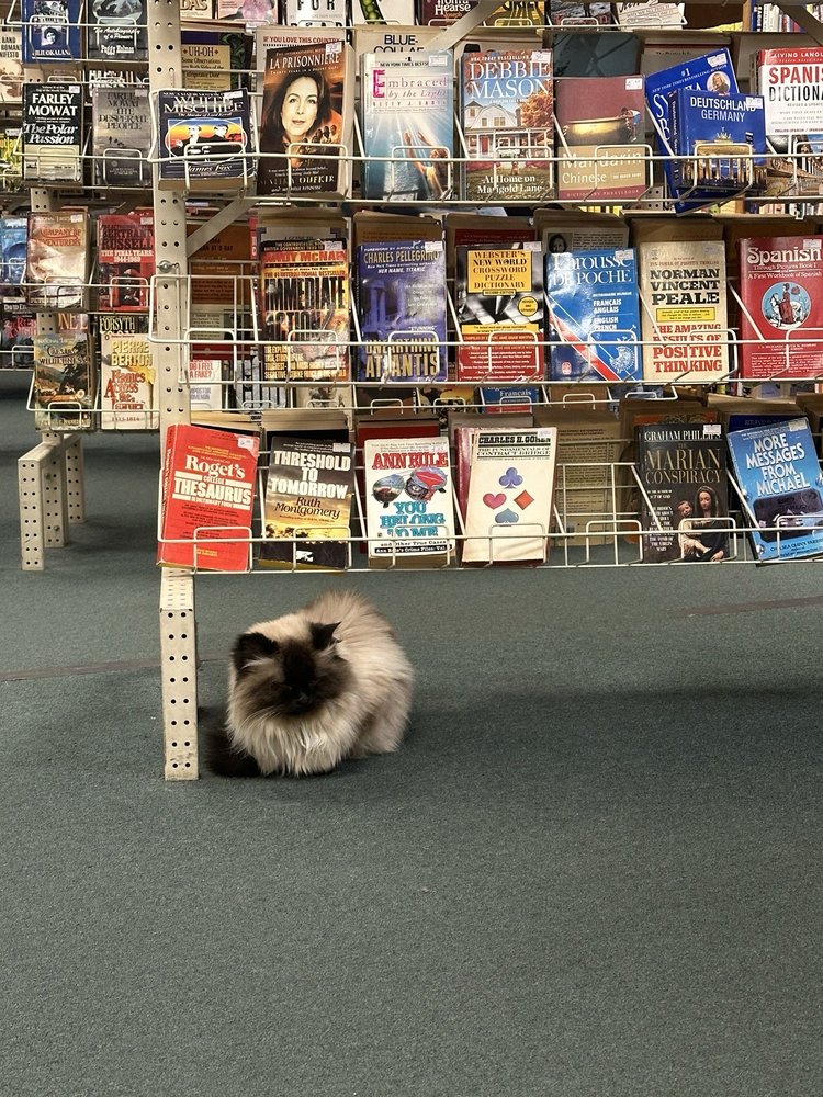 WEE BOOK INN - Updated December 2025 - 28 Photos & 49 Reviews - 10310 ...