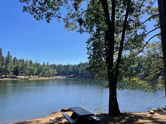 FOREBAY PARK - Updated October 2025 - 5581 Gail Dr, Pollock Pines ...