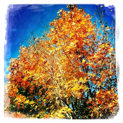 MILL HOLLOW VERMILION RIVER RESERVATION - Updated September 2025 - 30 ...