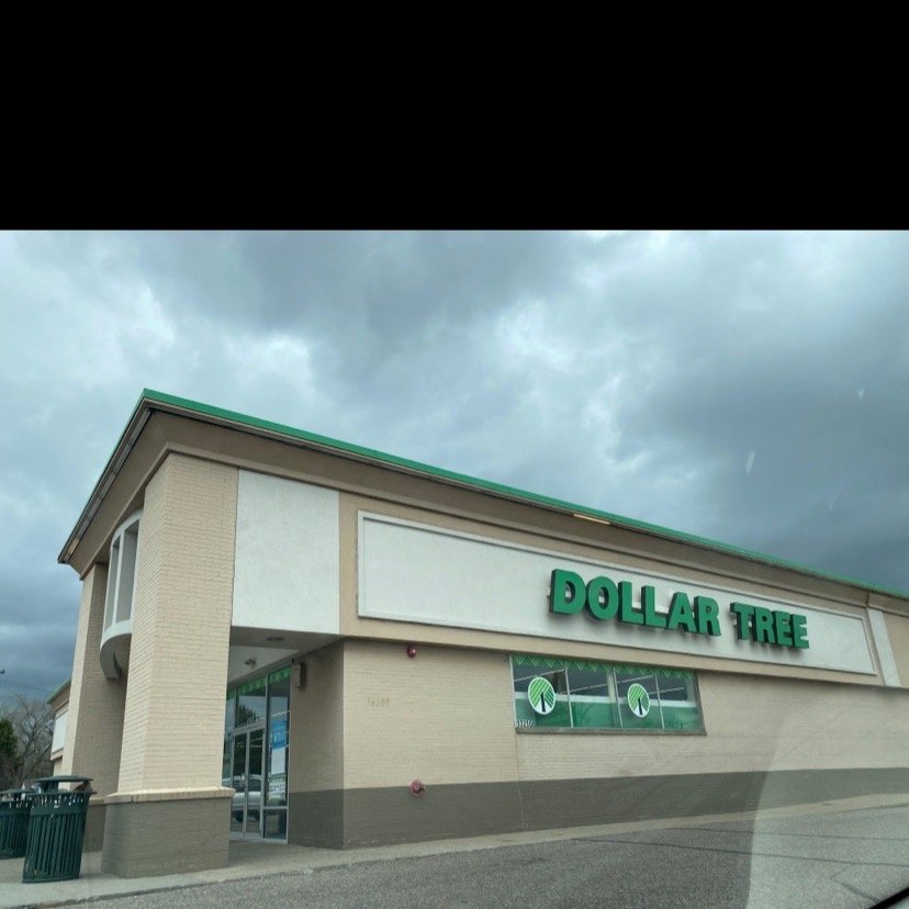 DOLLAR TREE - 13250 Ford Rd, Dearborn, MI - Yelp