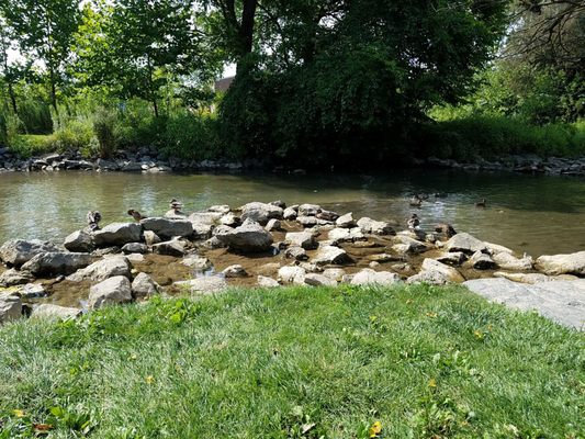LETORT PARK - Updated April 2025 - 17 Photos - 260 E Pomfret St ...