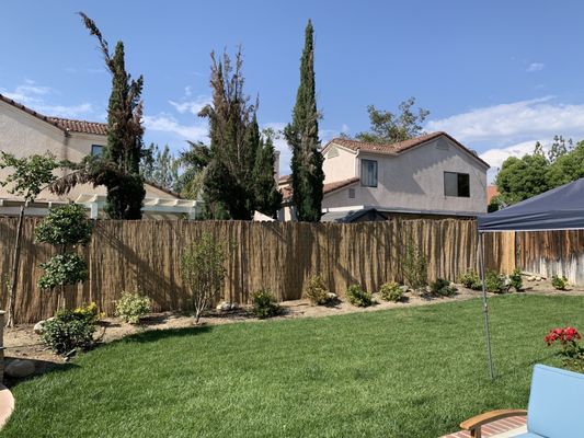 MODERN LANDSCAPE - Updated April 2025 - 77 Photos & 53 Reviews - 700 E ...