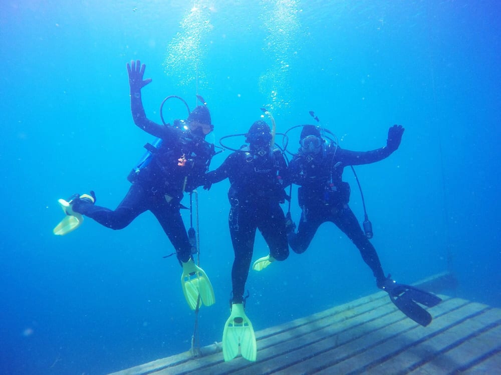 CEDAR GROVE DIVERS SUPPLY - Updated October 2025 - 492 State Hwy Rte 23 ...