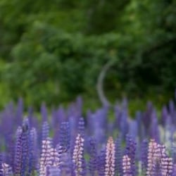 NADINE GRAVEN, MD - 13 Photos & 83 Reviews - Obstetricians ...