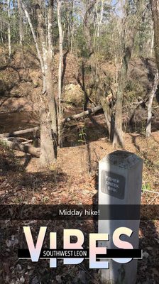 LEON SINKS GEOLOGICAL AREA - Updated June 2024 - 47 Photos & 14 Reviews ...