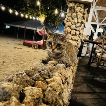 ECLIPSE RESTAURANT - Updated December 2025 - 414 Photos & 179 Reviews ...