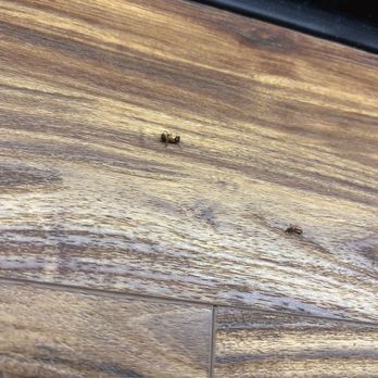 CRUNCH FITNESS - ALTAMONTE SPRINGS - Updated January 2026 - 35 Photos ...