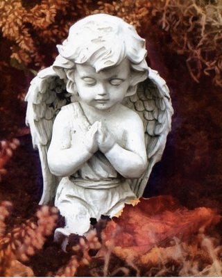 PSYCHIC MEDIUM LAINEY GRACE - Updated November 2025 - 57 Reviews ...