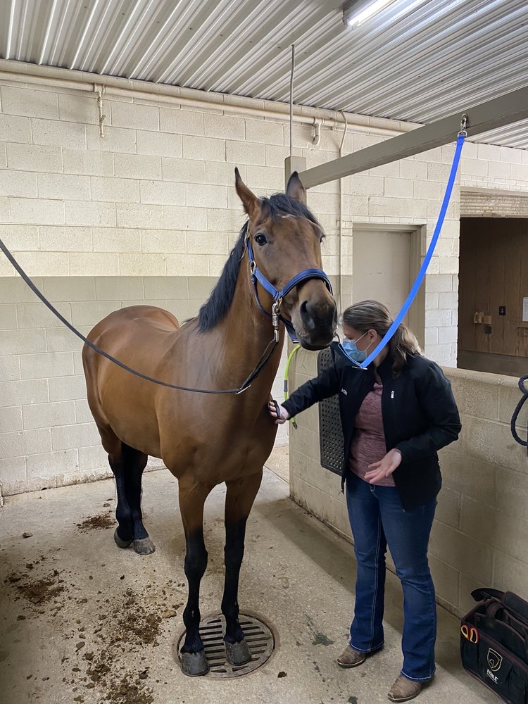 RIDGEWOOD STABLES - Updated December 2025 - 2250 Ridgewood Rd, Medina ...