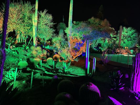 LIGHTSCAPE SAN DIEGO - Updated October 2025 - 250 Photos & 59 Reviews ...