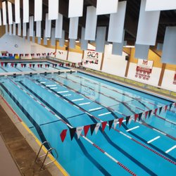 Best Adult Swim Lessons Near Me - August 2021: Find Nearby Adult Swim ...