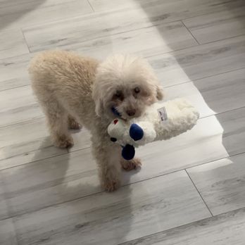 PETCO - Updated August 2024 - 42 Photos & 59 Reviews - 12014 SW 88th St ...