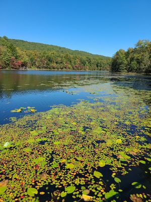 BAYS MOUNTAIN PARK & PLANETARIUM - Updated October 2024 - 59 Photos ...