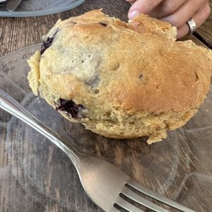 JAVA MAN - 183 Photos & 325 Reviews - Coffee & Tea - 157 Pier Ave ...