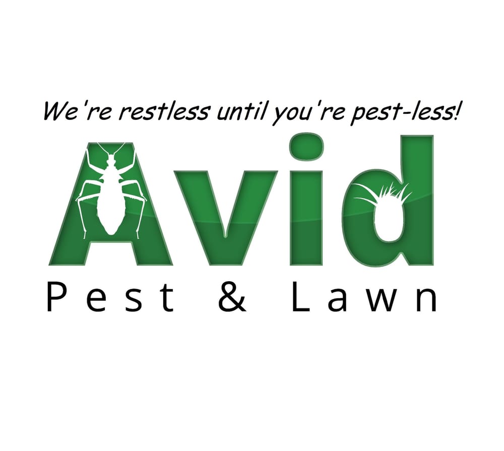 AVID PEST & LAWN - Updated July 2025 - St. George, Utah - Pest Control ...