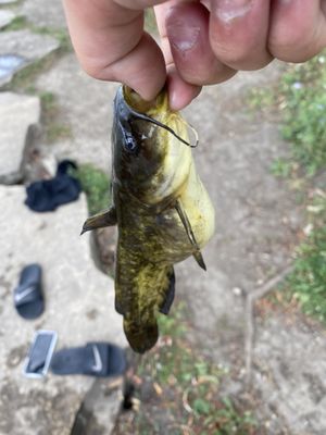 FISHTECH - Updated September 2025 - 30 Reviews - 5802 Dempster St ...