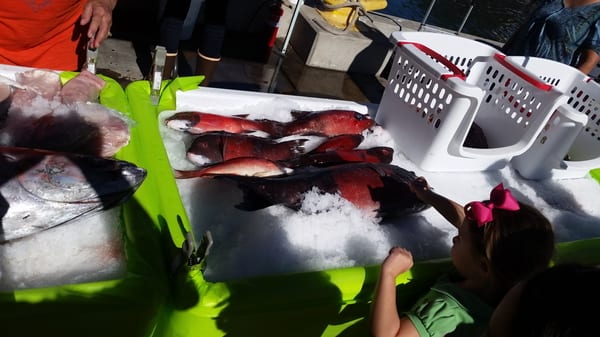 OPEN AIR FISH MARKET - Updated August 2025 - 24 Photos & 12 Reviews ...