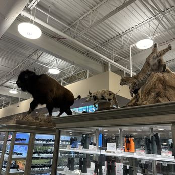 SCHEELS - Updated October 2025 - 136 Photos & 28 Reviews - 6929 S ...