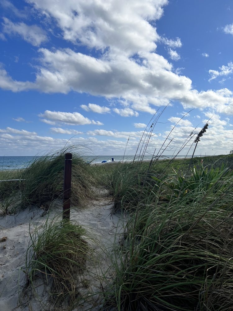 BARK BEACH - Updated August 2025 - 24 Photos - 3001 N Ocean Blvd, Boca ...