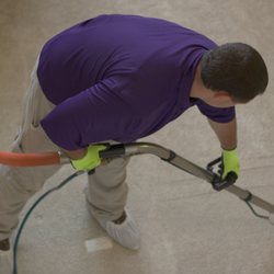 GREEN T SERVICES - 164 Photos & 167 Reviews - Carpet Cleaning - 1600 ...