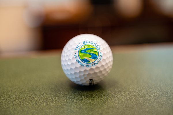 THE BRIDGES AT SPRINGTREE GOLF CLUB - Updated January 2025 - 57 Photos ...