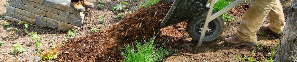 TOPPEM AND DROPPEM - Updated September 2024 - Request a Quote ...