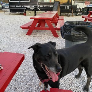 SWAMP DONKEYS CRAWFISH AND SEAFOOD - 96 Photos & 40 Reviews - 1965 ...