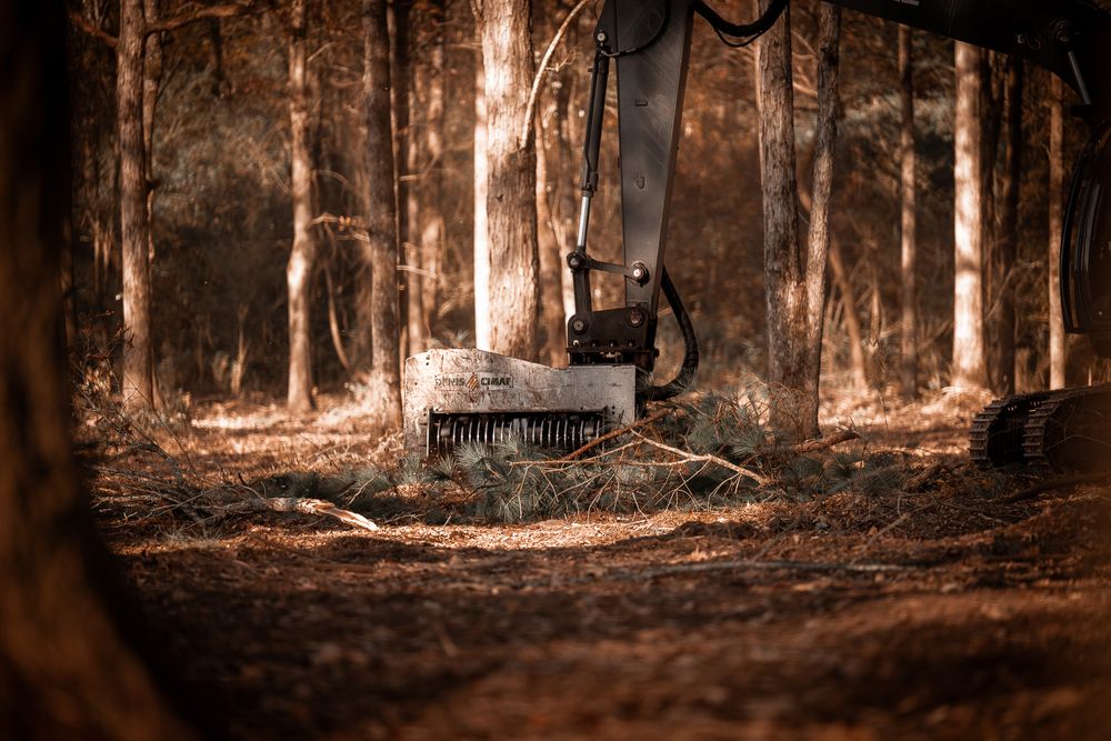 DALE LAND MANAGEMENT - Updated January 2025 - 12 Photos - Belhaven ...