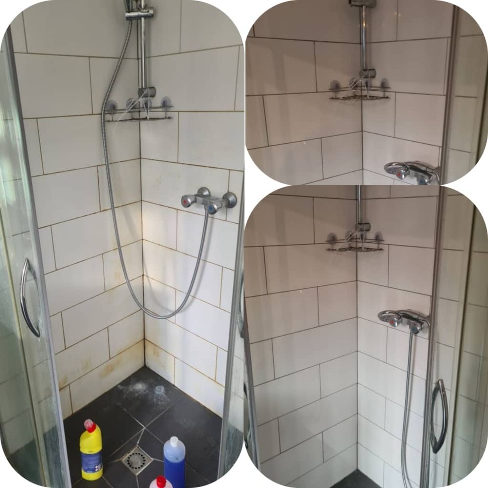 DANISH CLEAN & SERVICES - Updated January 2025 - Monitorplein 67 ...