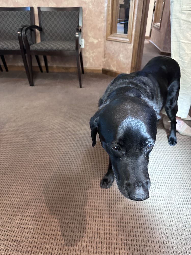 JACK WASSERSTEIN - Updated December 2025 - 17 Reviews - 27450 Tourney ...