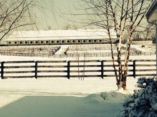 WEST WIND STABLES - 16 Photos - 4787 Haley Rd, Lexington, KY - Yelp