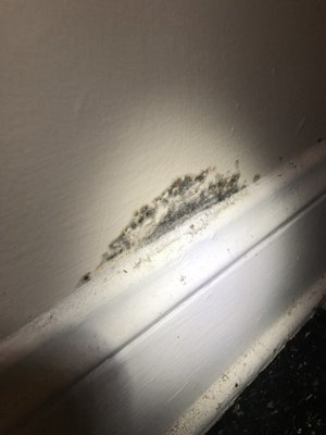 CAPITAL PROPERTY MANAGEMENT - Updated August 2024 - 10 Photos & 100 ...