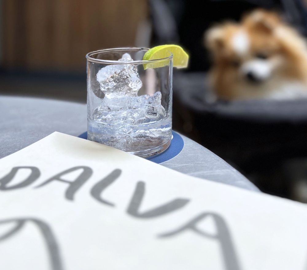 DALVA - Updated December 2025 - 162 Photos & 507 Reviews - 3121 16th St ...