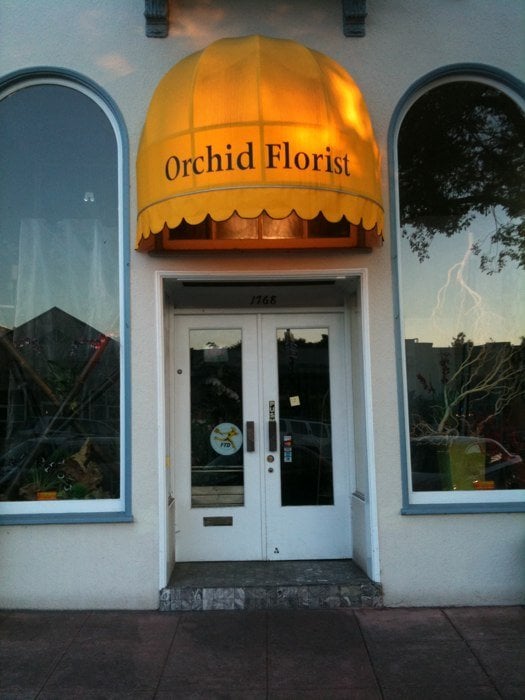 ORCHID FLORIST - Updated August 2025 - 78 Photos & 67 Reviews - 1768 ...