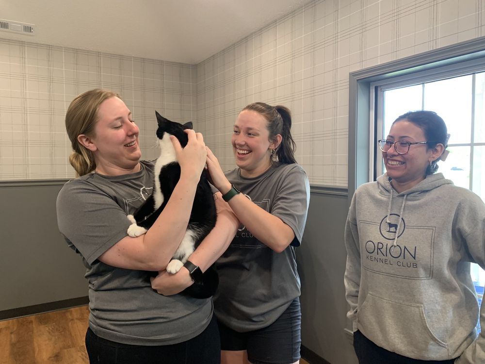 ORION KENNEL CLUB - Updated January 2026 - 79 Waldon Rd, Lake Orion ...