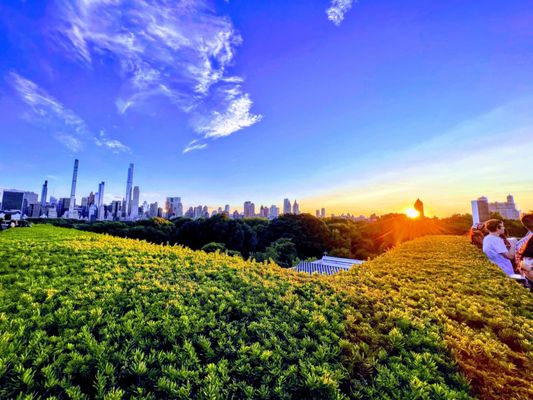 THE MET CANTOR ROOFTOP & GARDEN - Updated July 2024 - 262 Photos & 171 ...