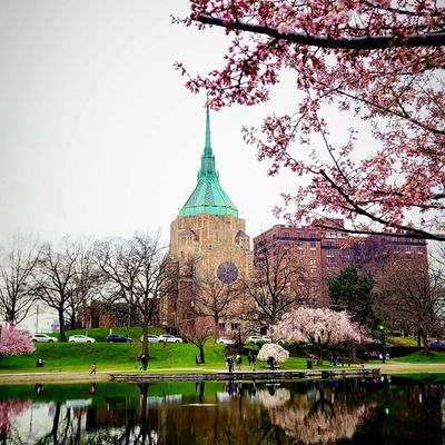 WADE PARK LAGOON - Updated September 2025 - 76 Photos & 19 Reviews ...