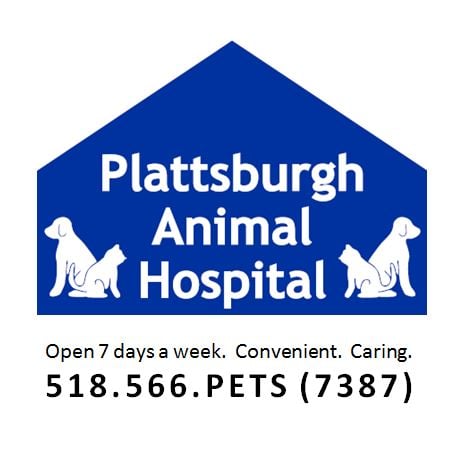 PLATTSBURGH ANIMAL HOSPITAL - Updated May 2025 - 26 Reviews - 561 Rt 3 ...