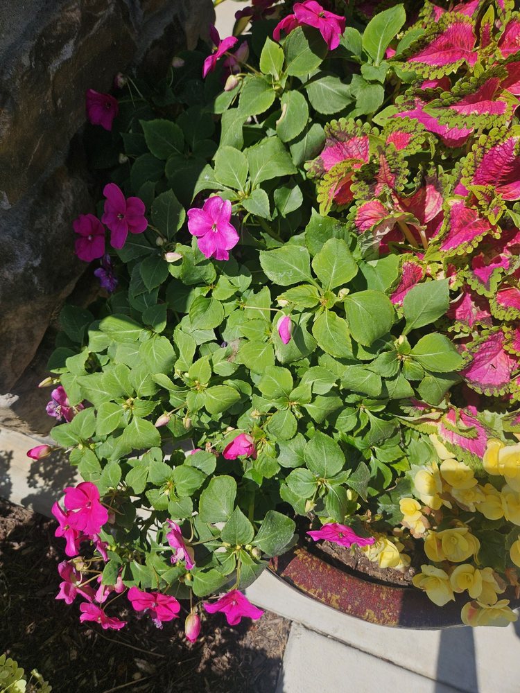 HORVAT’S GARDEN CENTER - Updated June 2026 - 66 Photos & 22 Reviews ...