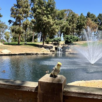 TEWINKLE PARK - Updated June 2025 - 440 Photos & 123 Reviews - 970 ...