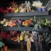 THE FREDERICK - 21 Photos - 1215 E Missouri Ave, Phoenix, AZ - Yelp