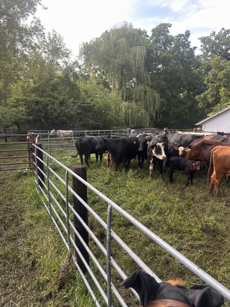 JARED RUTER CUSTOM FENCING & LAND IMPROVEMENT - Updated January 2026 ...