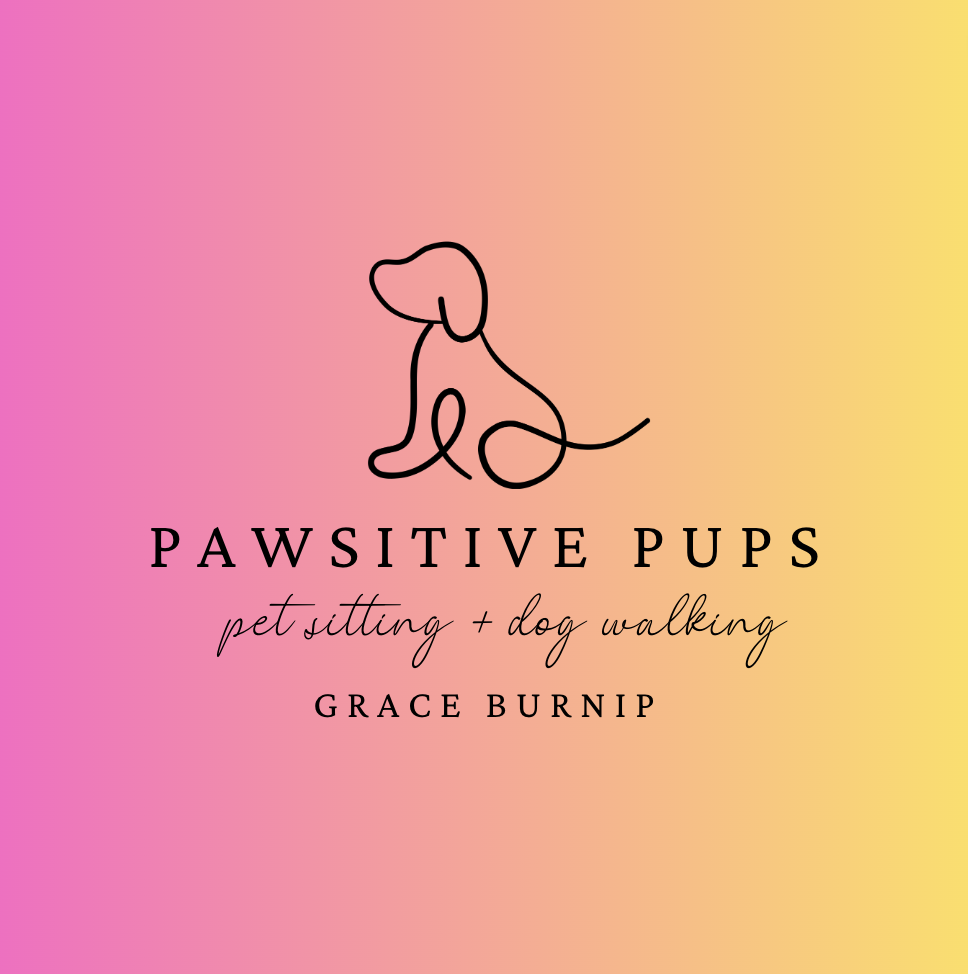 PAWSITIVE PUPS - Updated October 2024 - Request a Quote - Hamilton ...