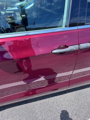 FLEX RENT A CAR - Updated March 2025 - 28 Photos & 47 Reviews - 2913 ...