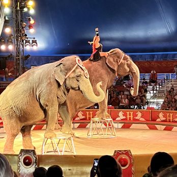 CIRCUS WORLD - Updated December 2025 - 268 Photos & 82 Reviews - 550 ...