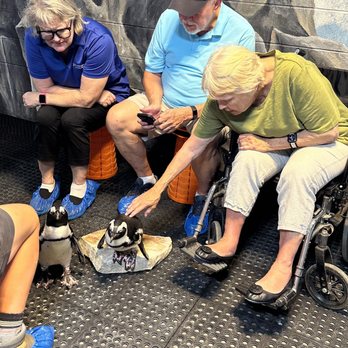 BRIGHT’S ZOO - Updated January 2026 - 95 Photos & 39 Reviews - 3425 Hwy ...